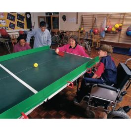 Davies Sports Polybat Set | Dryad Education