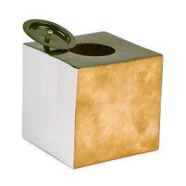 Leslie's Cube | Dryad Education